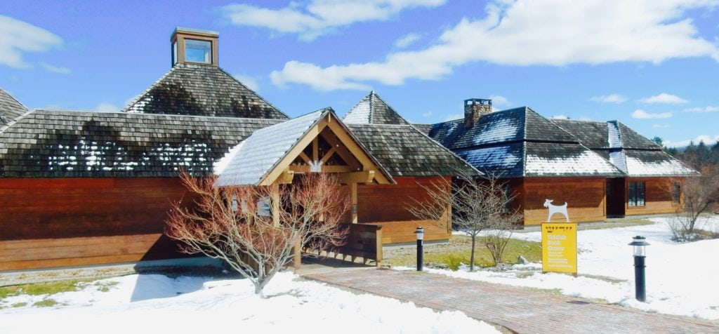 Things to do in Amherst MA | An Academic and Literary Getaway