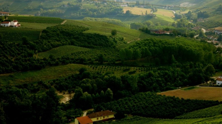 Italy's Piedmont Region is Like Tuscany 40 Years Ago
