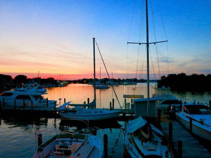 Things to do in Calvert County MD: Shark Teeth and Bay Life
