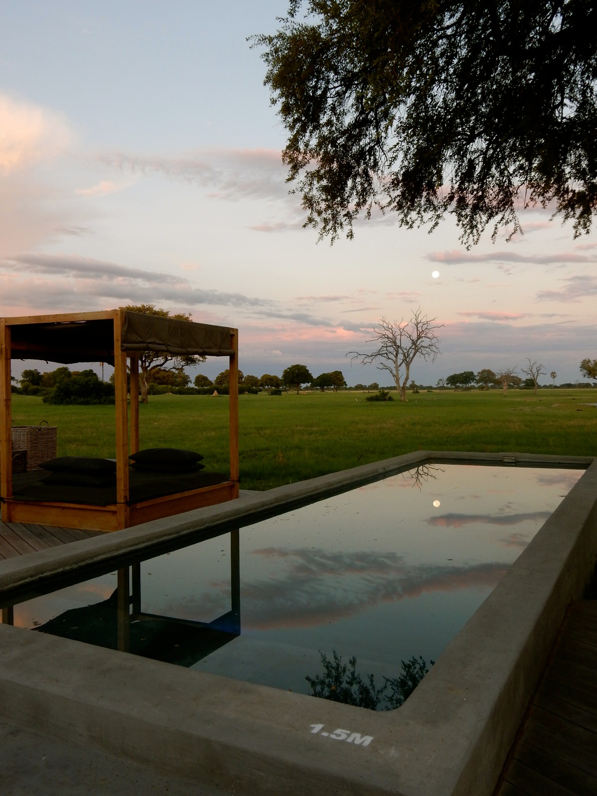 Linkwasha Camp Zimbabwe: Luxury In the Bush - Getaway Mavens