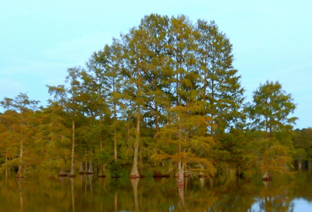 Things To Do In Laurel Delaware | Weekend Getaway