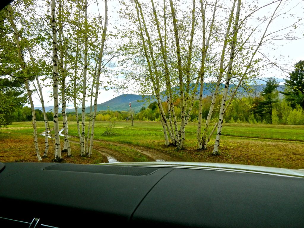 21+ Mind-Blowing Things To Do In Manchester VT You'll Love