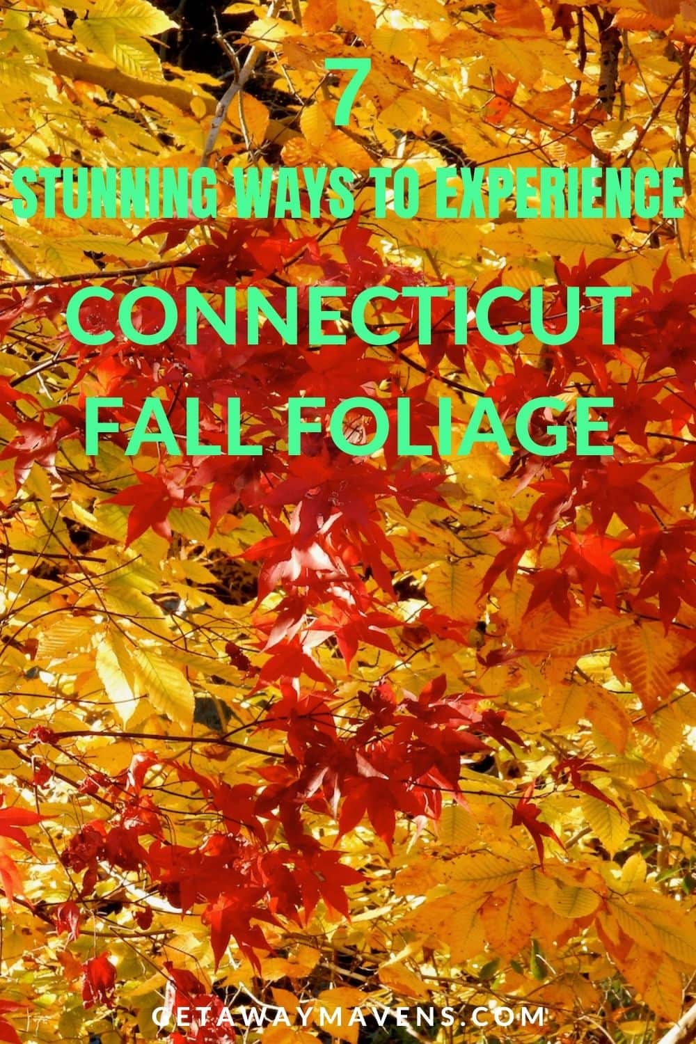 7 Stunning Ways to Experience Connecticut Fall Foliage - Getaway Mavens