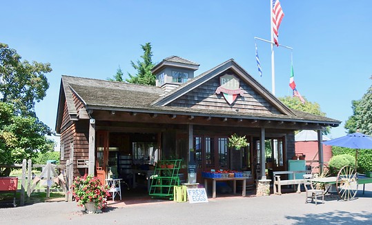 Wine Down in the North Fork Long Island NY: The Anti-Hamptons