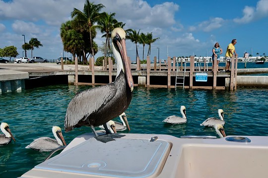 Romantic Things To Do On Singer Island FL - Getaway Mavens