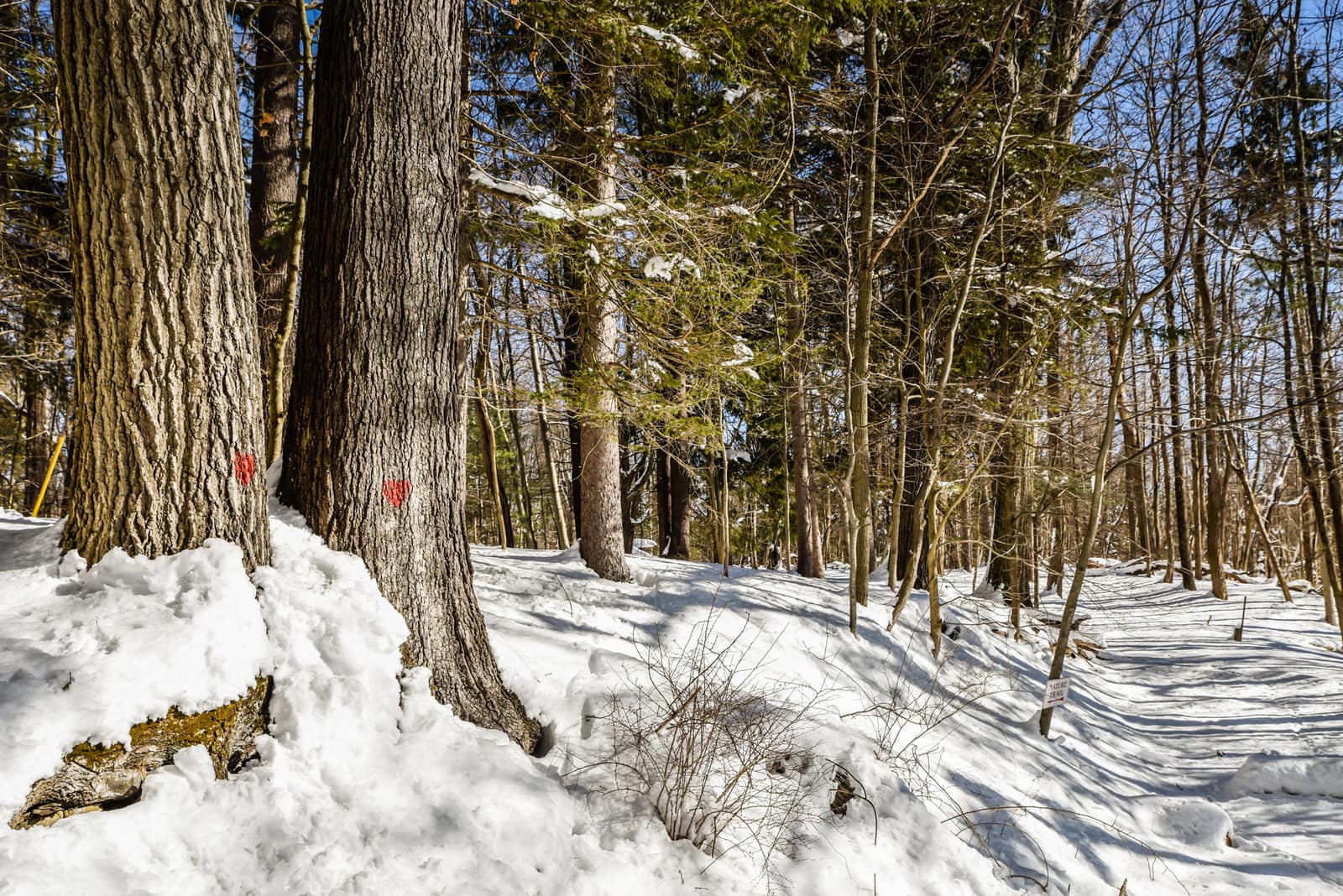 Poconos Romantic Getaway: Double The Fun
