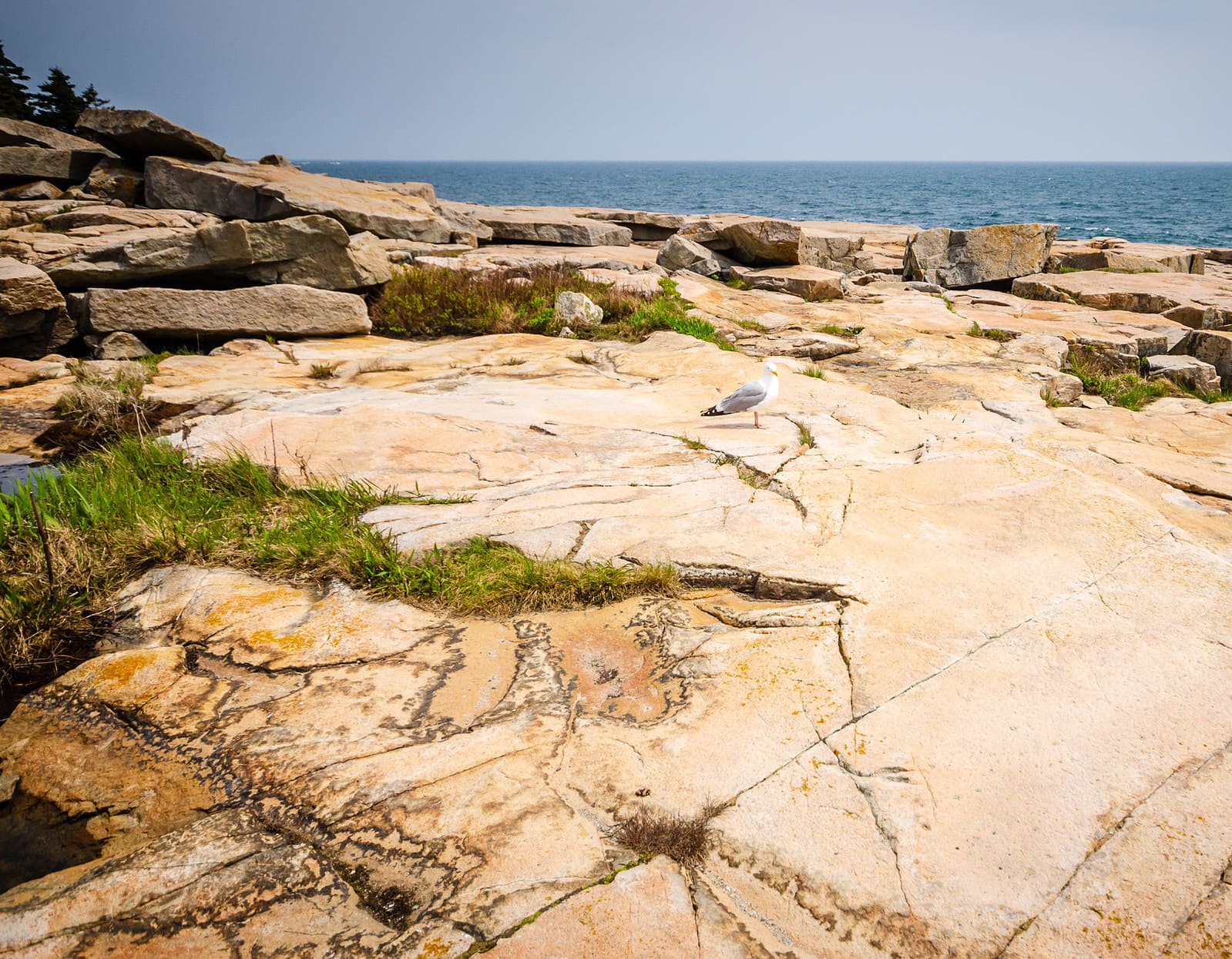 Schoodic Peninsula ME: Acadia NP's Quieter Side