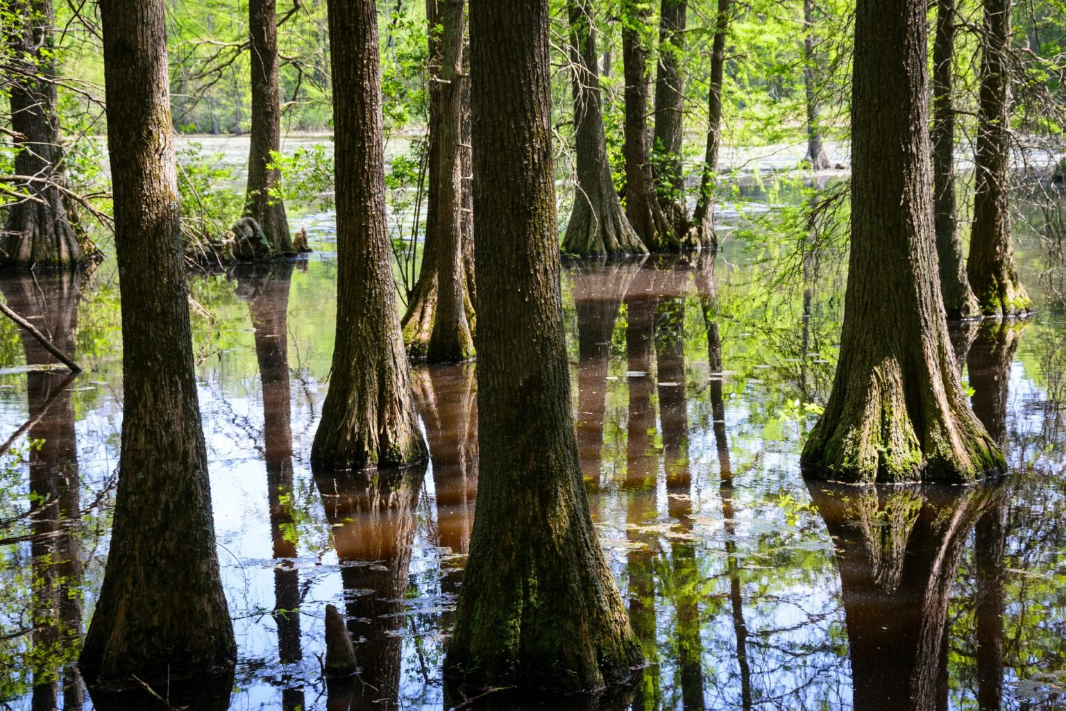 6 Incredibly Romantic Getaways in Delaware You'll Adore