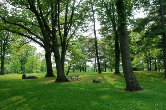Romantic Wallet-Friendly Things to Do in Greenwich CT