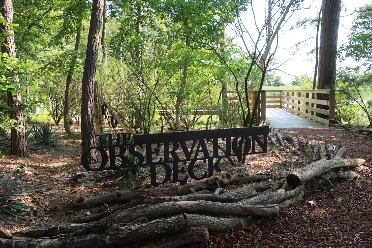 The Best of Delaware Beach Towns: By Land And Sea - Getaway Mavens