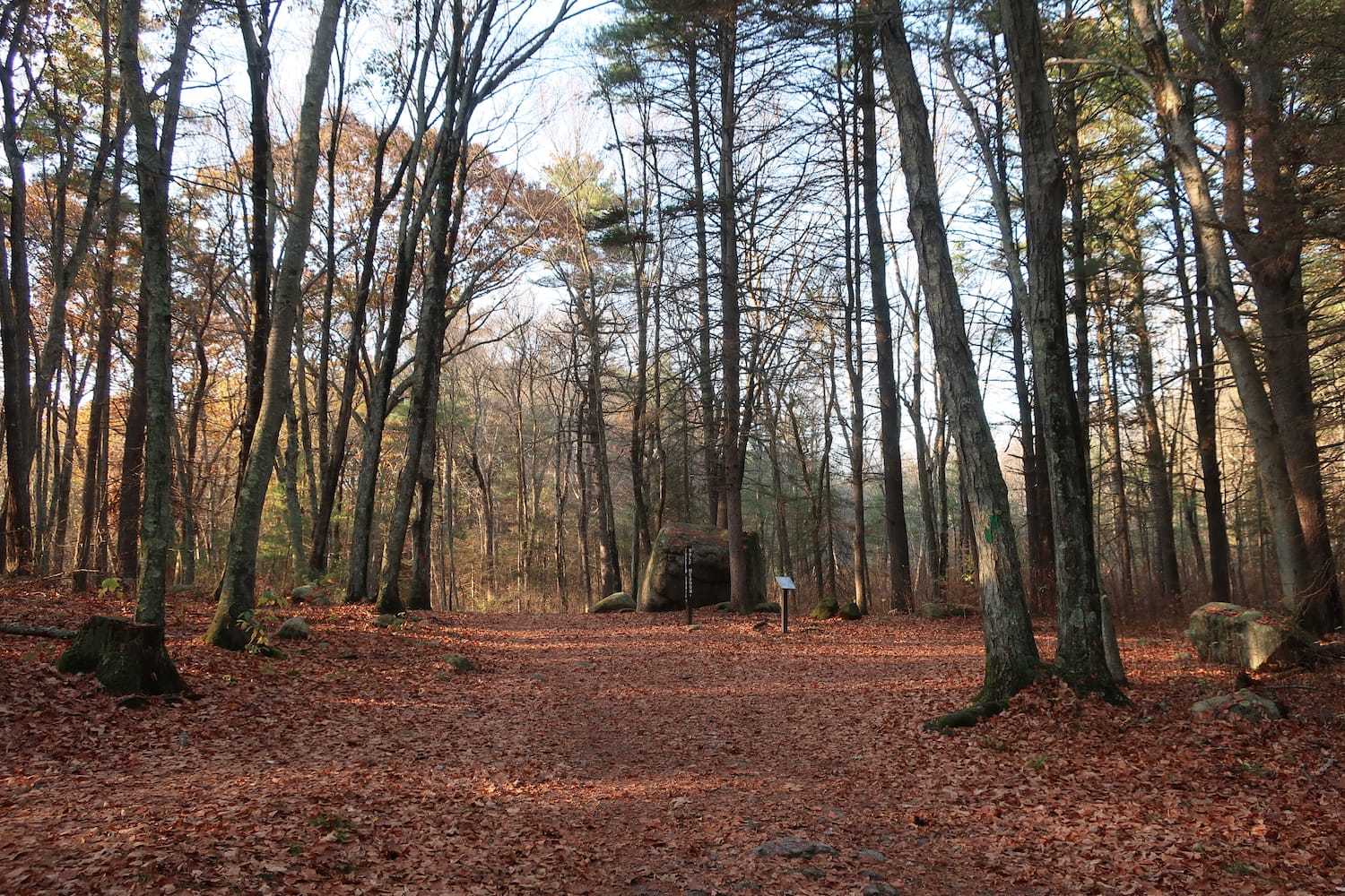 23 Things to do in Foxboro MA Patriot Place With Your Bestie - Getaway ...
