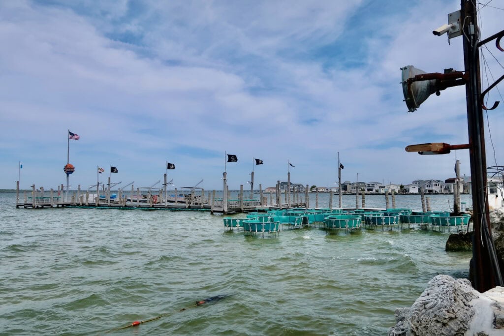 Ashore Resort and Beach Club: Ocean City MD’s New Hotspot